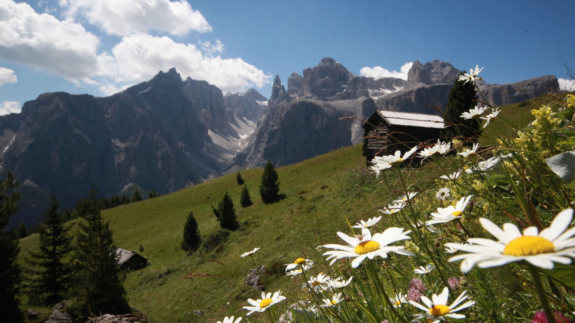 Vacanze estive in montagna all’Hotel Cristallo